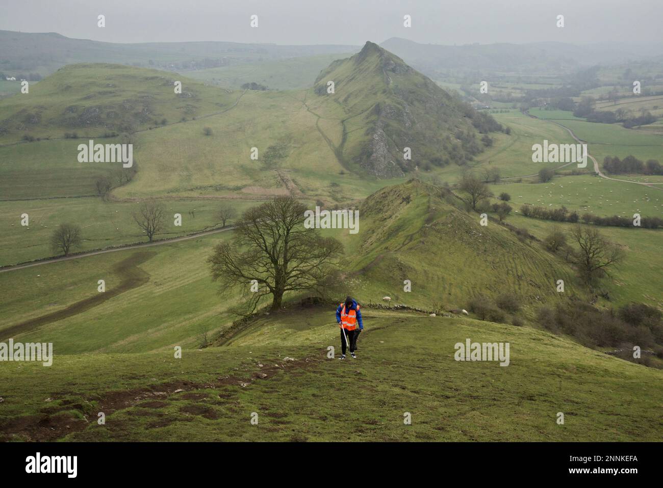 Litter Picker (Male/Man) Picking Up Litter in the Peak District ...