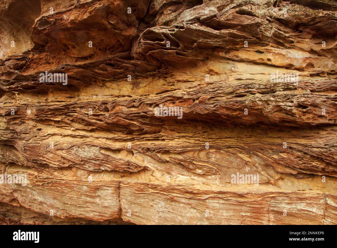 Erosion and Fossil Patterns at Garden of the Gods - Shawnee National ...