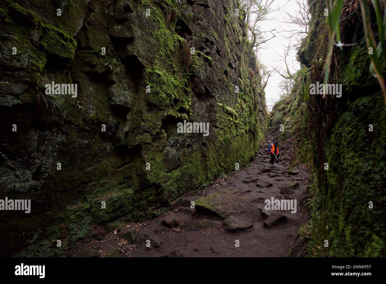 Litter Picker (Male/Man) Picking Up Litter in the Peak District ...