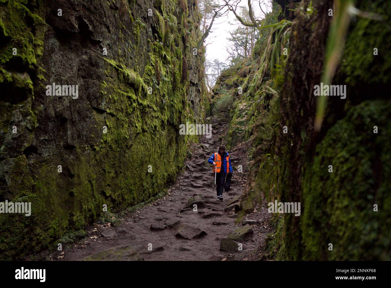 Litter Picker (Male/Man) Picking Up Litter in the Peak District ...