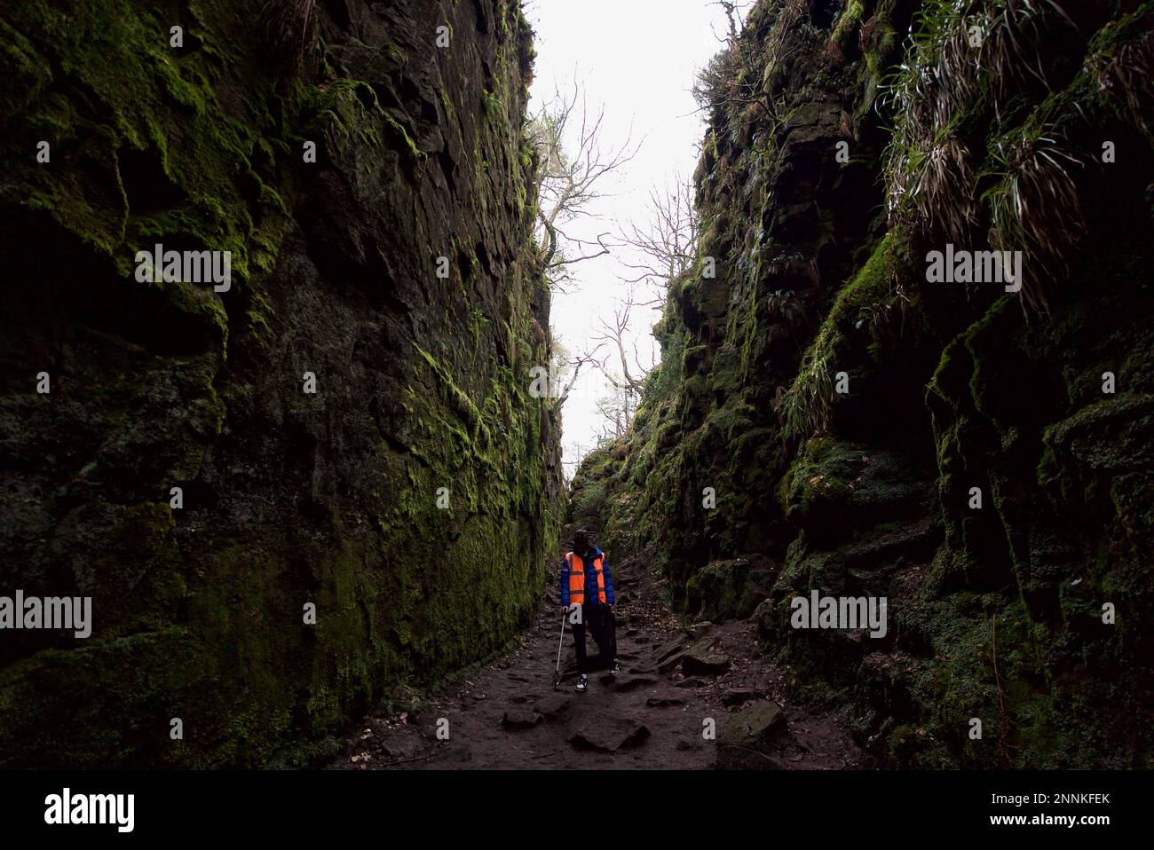 Litter Picker (Male/Man) Picking Up Litter in the Peak District ...