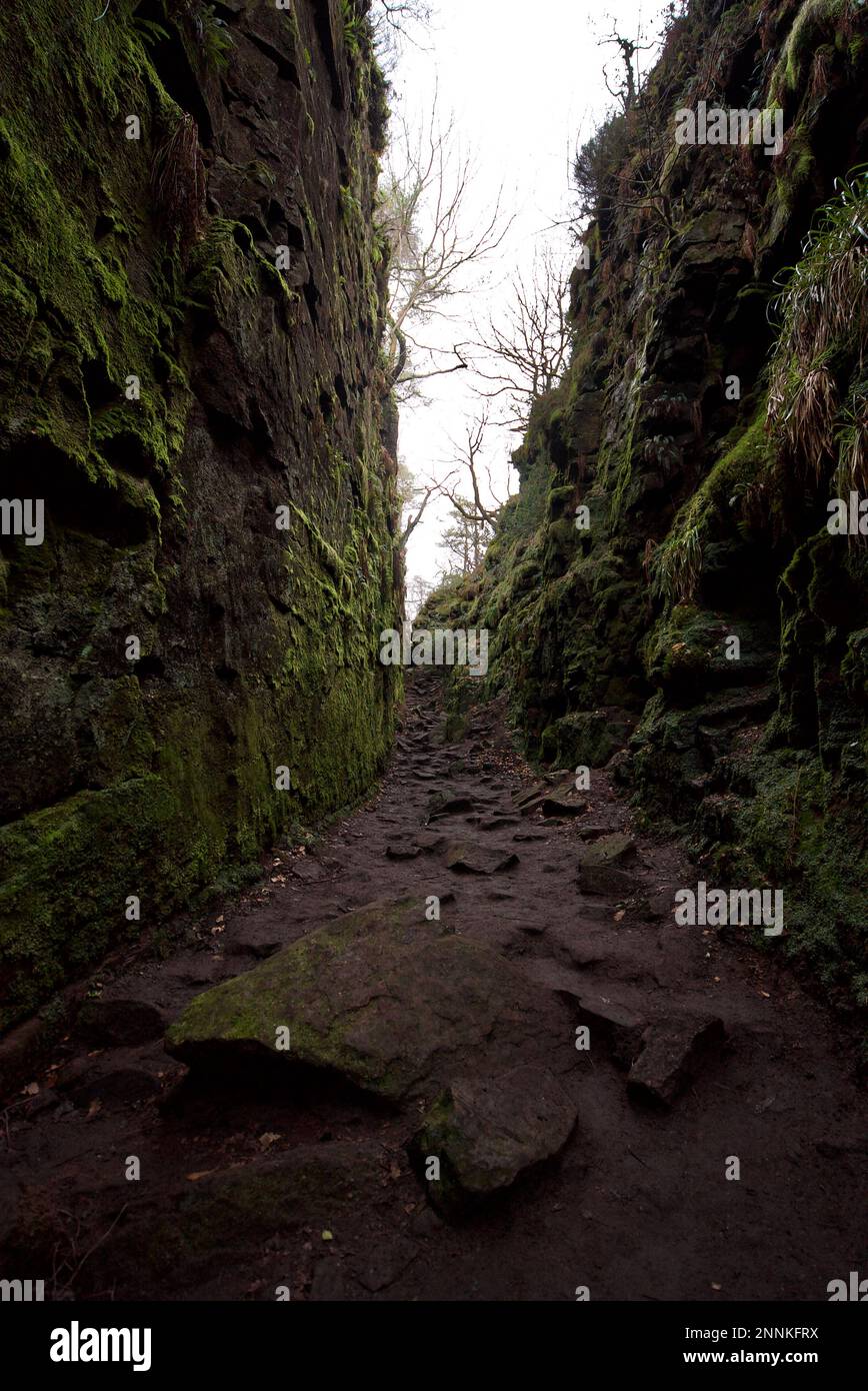 Lud's Church- a deep chasm in Millstone Grit bedrock created by a ...
