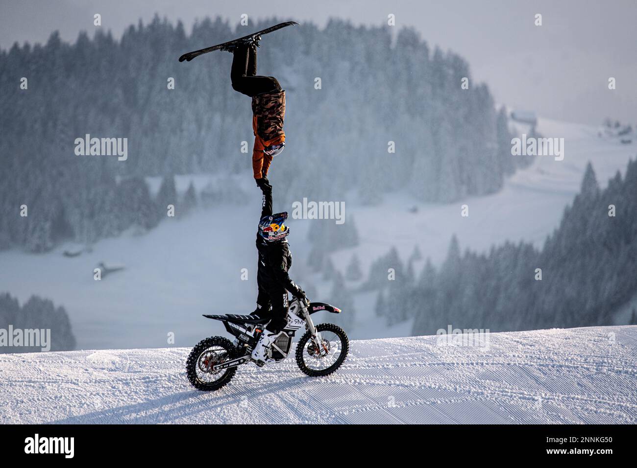 Take a look at the best content that landed this past week, from the ...