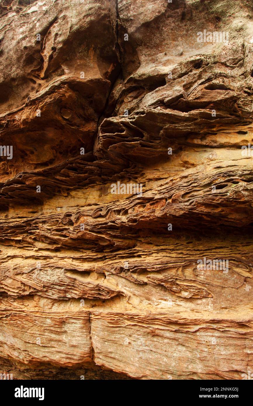 Erosion and Fossil Patterns at Garden of the Gods - Shawnee National ...