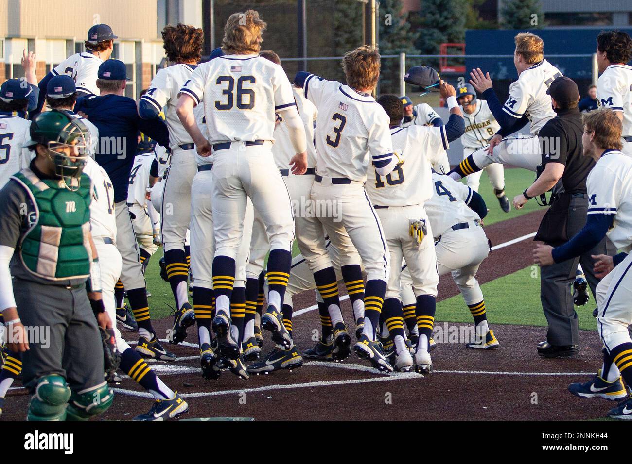 Michigan Wolverines bench celebrates a walk-off victory against the ...