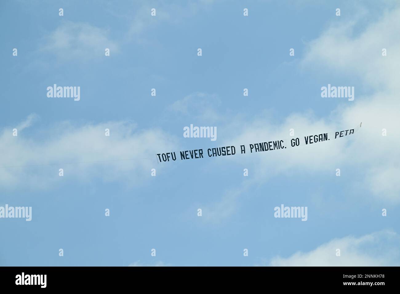 Photo by: PETA/STAR MAX/IPx 2021 3/20/21 During spring break, PETA ...