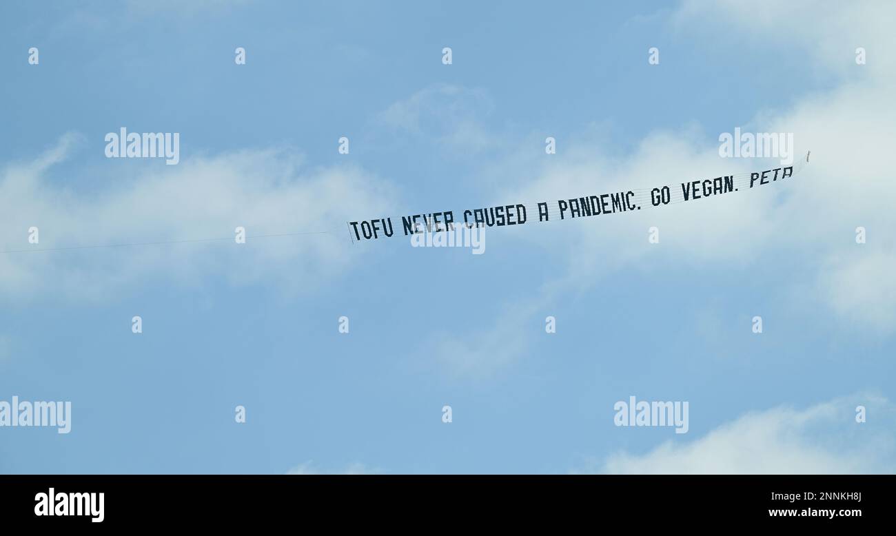 Photo by: PETA/STAR MAX/IPx 2021 3/20/21 During spring break, PETA ...