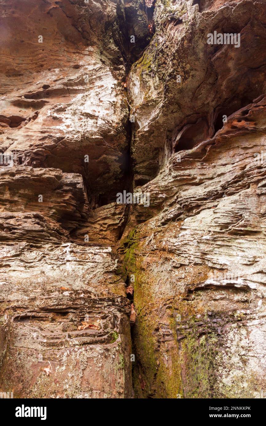 Erosion and Fossil Patterns at Garden of the Gods - Shawnee National ...