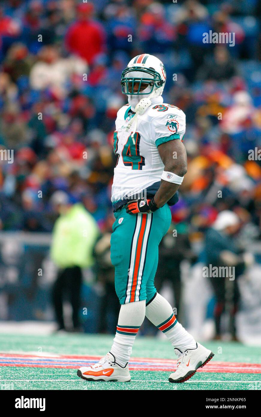 Ricky Williams Dolphins Wallpaper