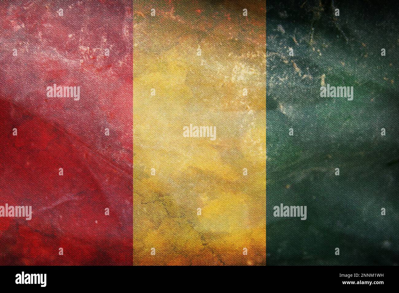 retro flag of Indo Aryan peoples Saraiki people with grunge texture ...