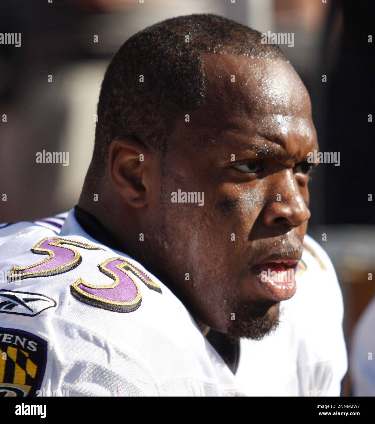 21 October 2007: Baltimore Ravens linebacker Terrell Suggs rest on the ...