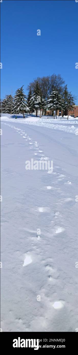 Web banner photo of the footprint with deep snow for a winter weather ...