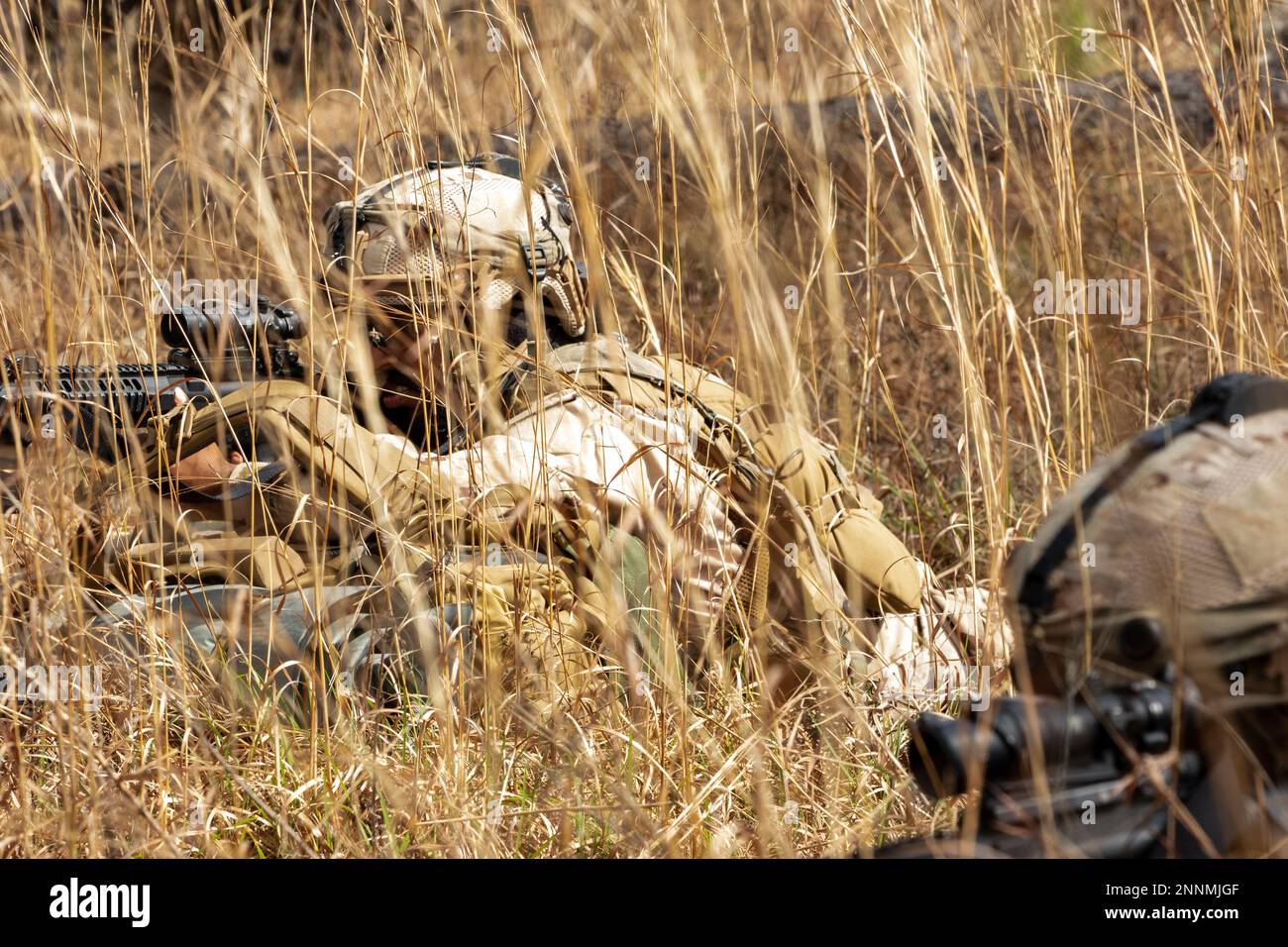 United Arab Emirates 11th Mountain Battalion soldiers pull security ...