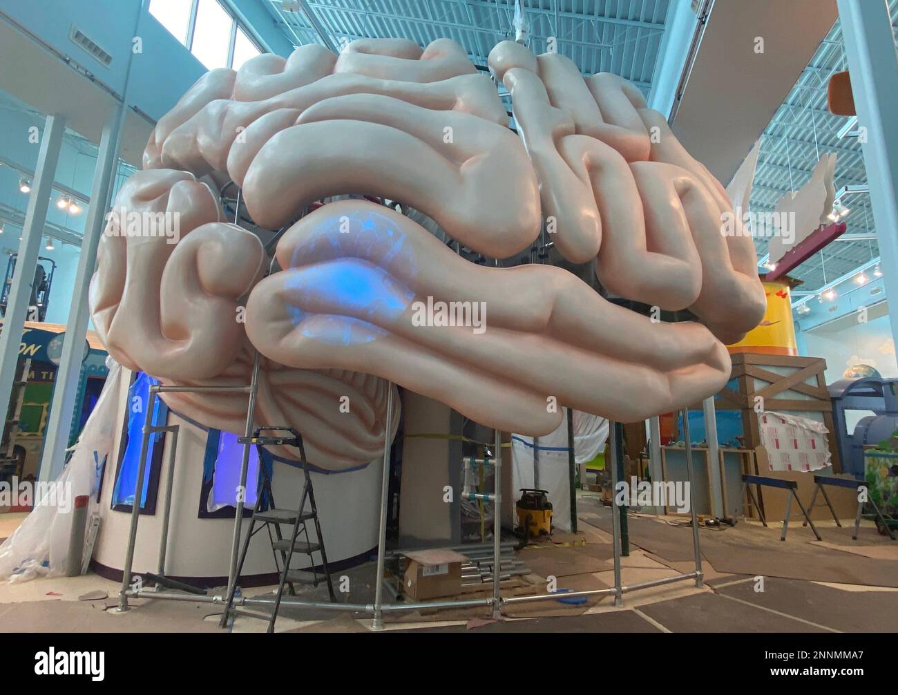 A large brain exhibit, is photographed on March 10, 2021 at the ...
