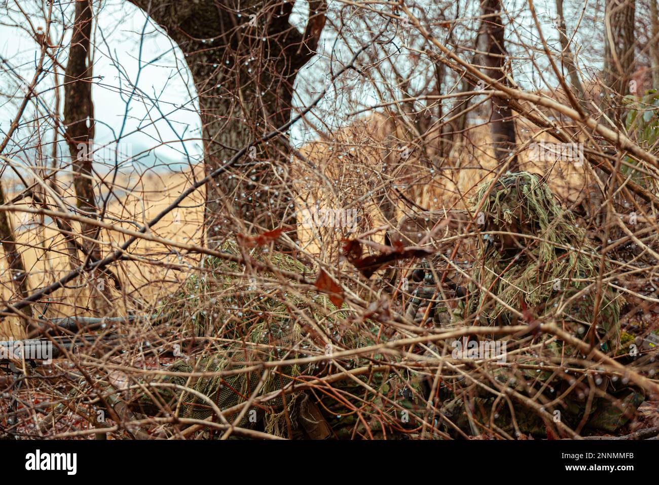Soldiers with the 1st Regimental Landing Team, Japan Ground Self ...