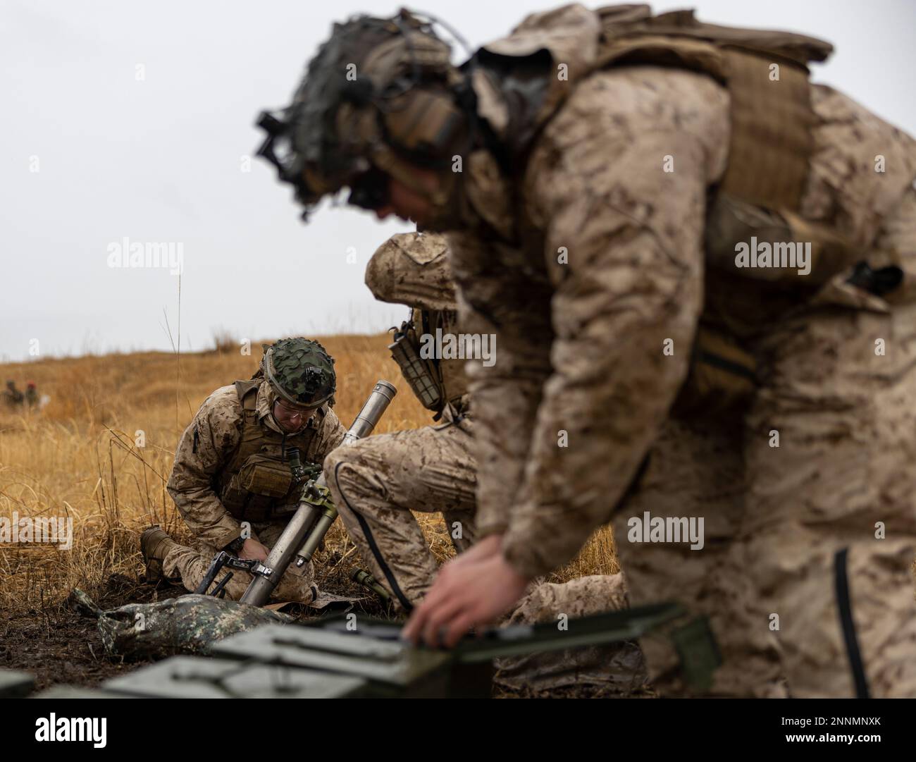 U.S. Marines with Battalion Landing Team 1/4, 31st Marine Expeditionary ...