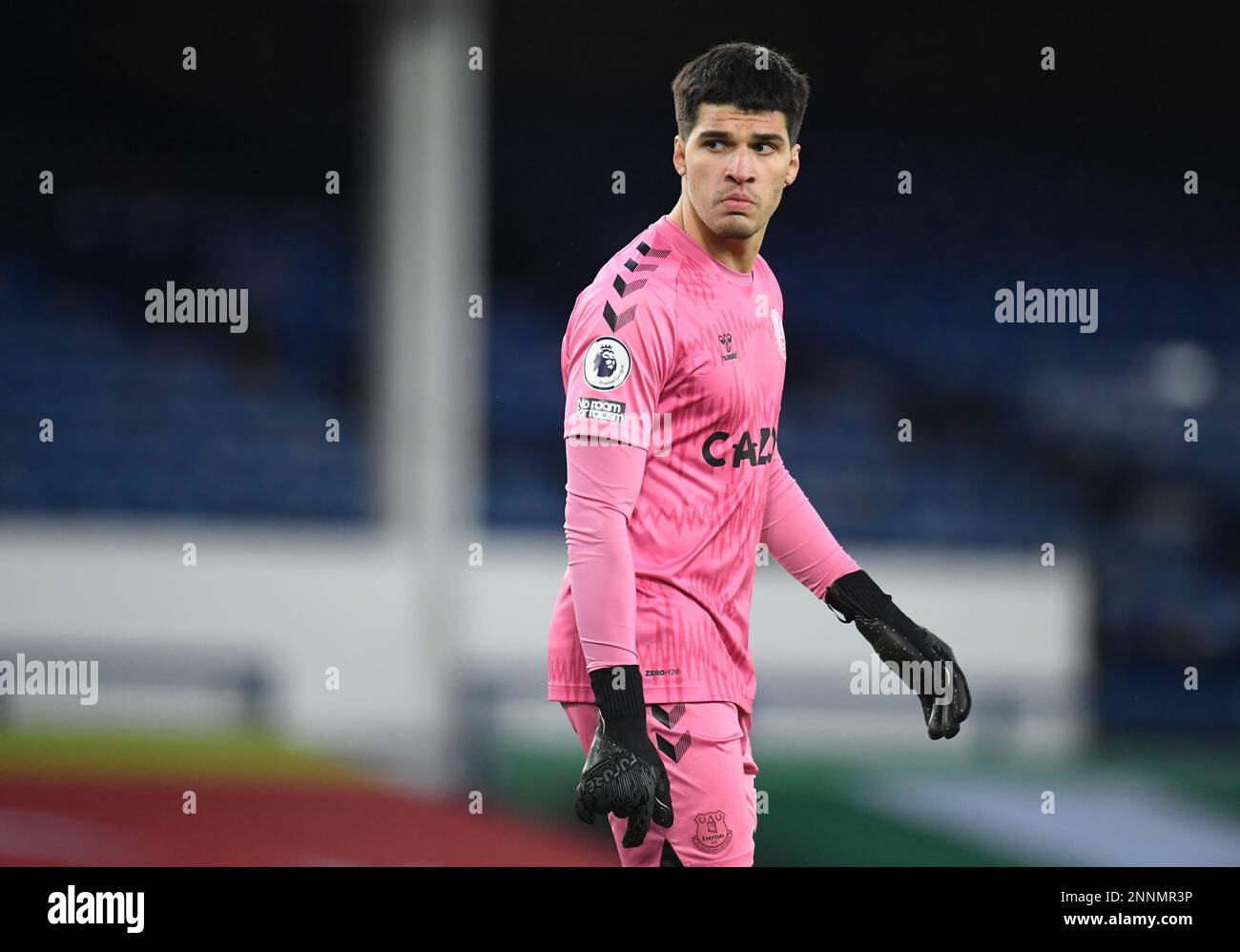 Everton's goalkeeper Joao Virginia looks out during the English Premier ...