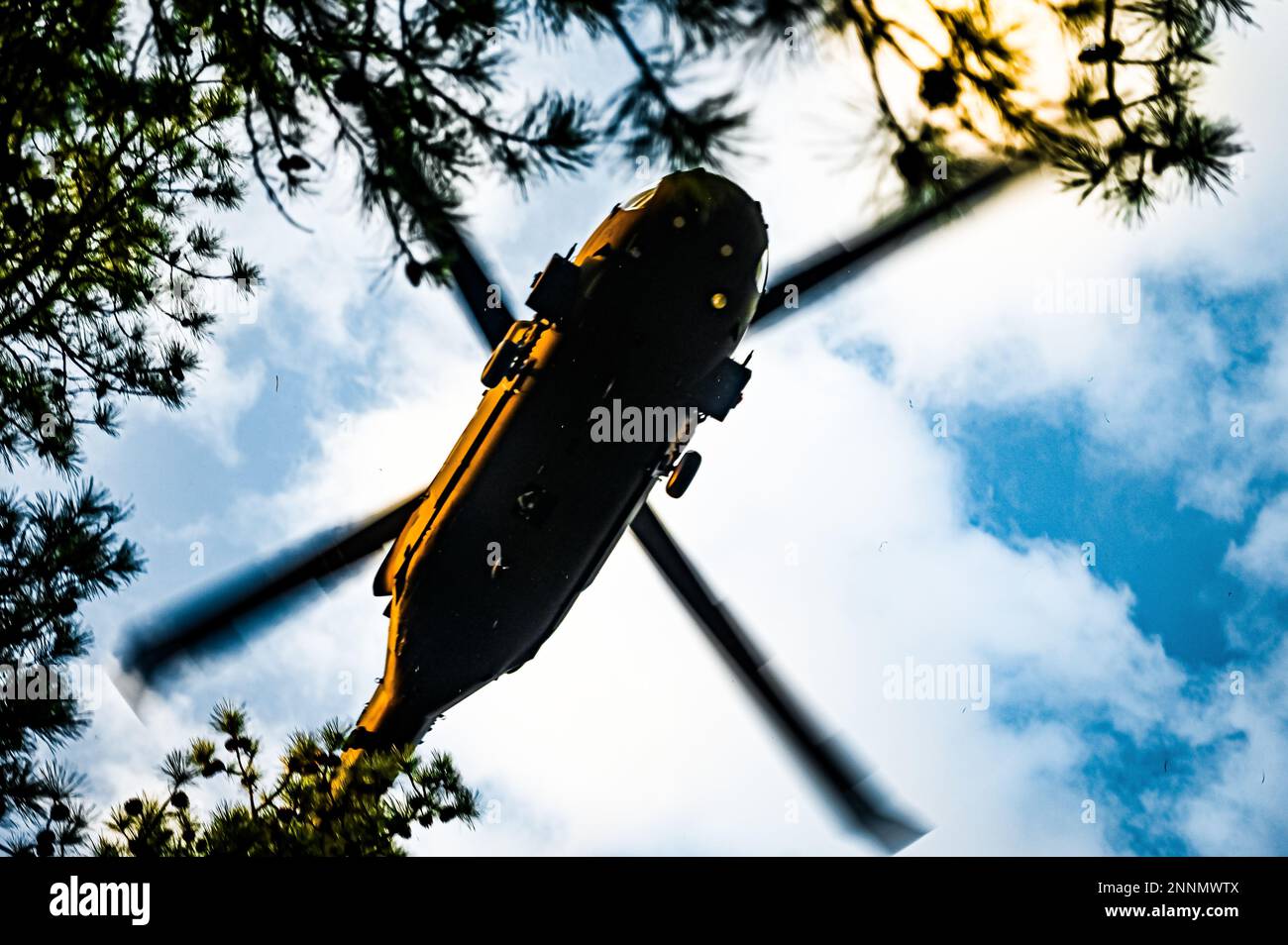 U.S. Army Soldiers assigned to the First Army Division, participate in ...