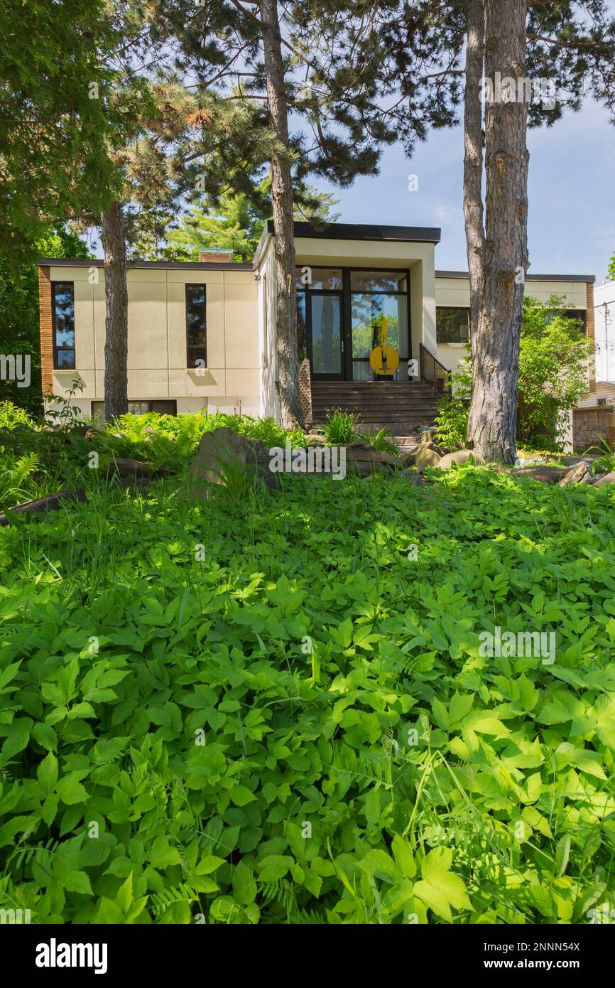 Contemporary cube style home facade with beige cement panels and brick ...