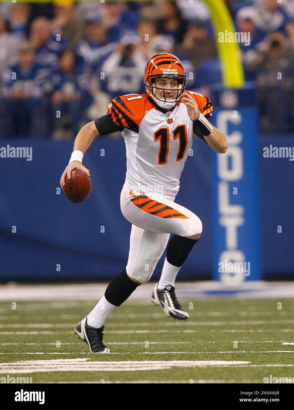 Ryan Fitzpatrick Bengals