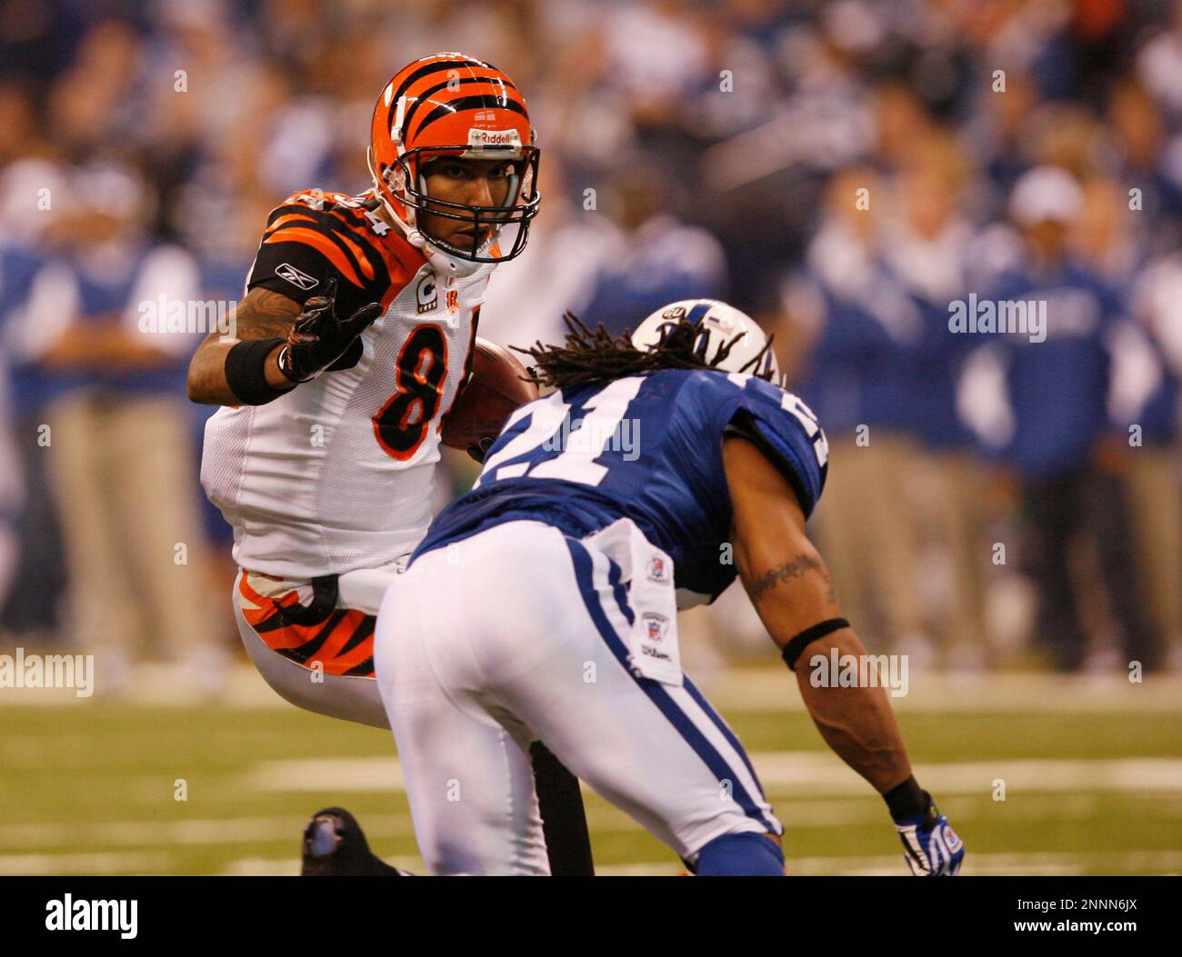 07 December 2008: Cincinnati Bengals wide receiver T.J. Houshmandzadeh ...