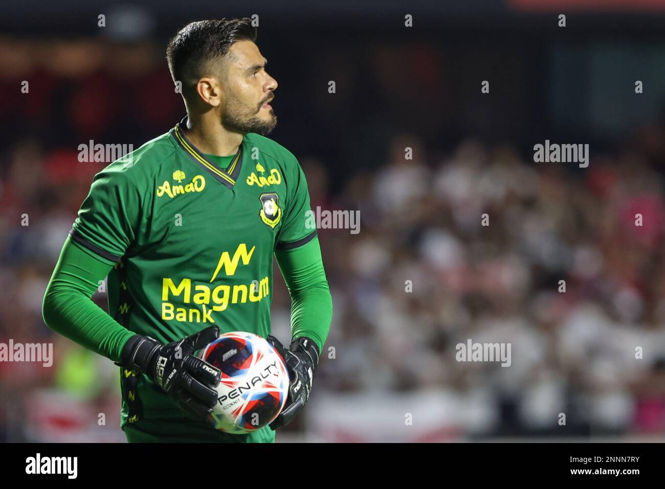 Sao Paulo, Brazil. 25th Feb, 2023. SP - Sao Paulo - 02/25/2023 ...