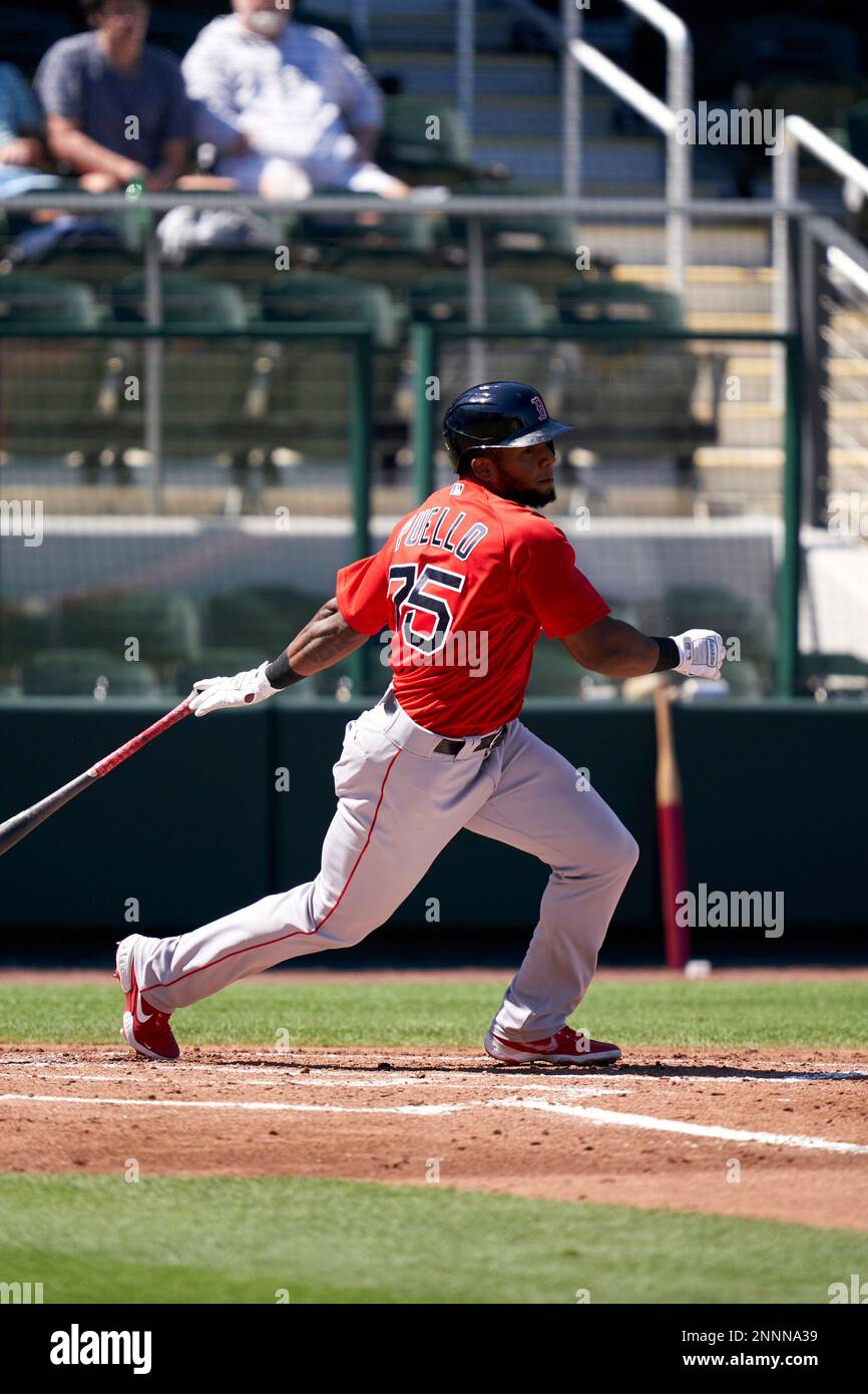 Boston Red Sox César Puello (75) bats during a Major League Spring ...