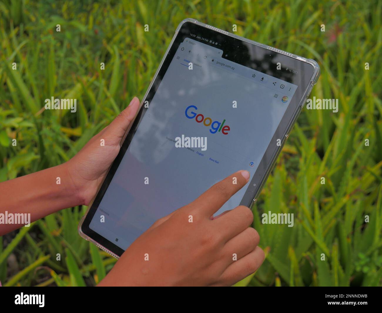 close up of hand holding smartphone opening google search engine Stock ...