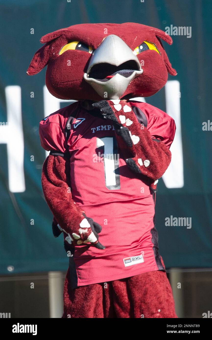 Temple University Owls mascot Hooter the Owl during an NCAA football ...