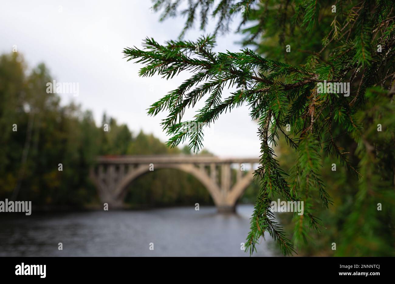 arched bridge over a wide river surrounded by autumn forest Stock Photo ...