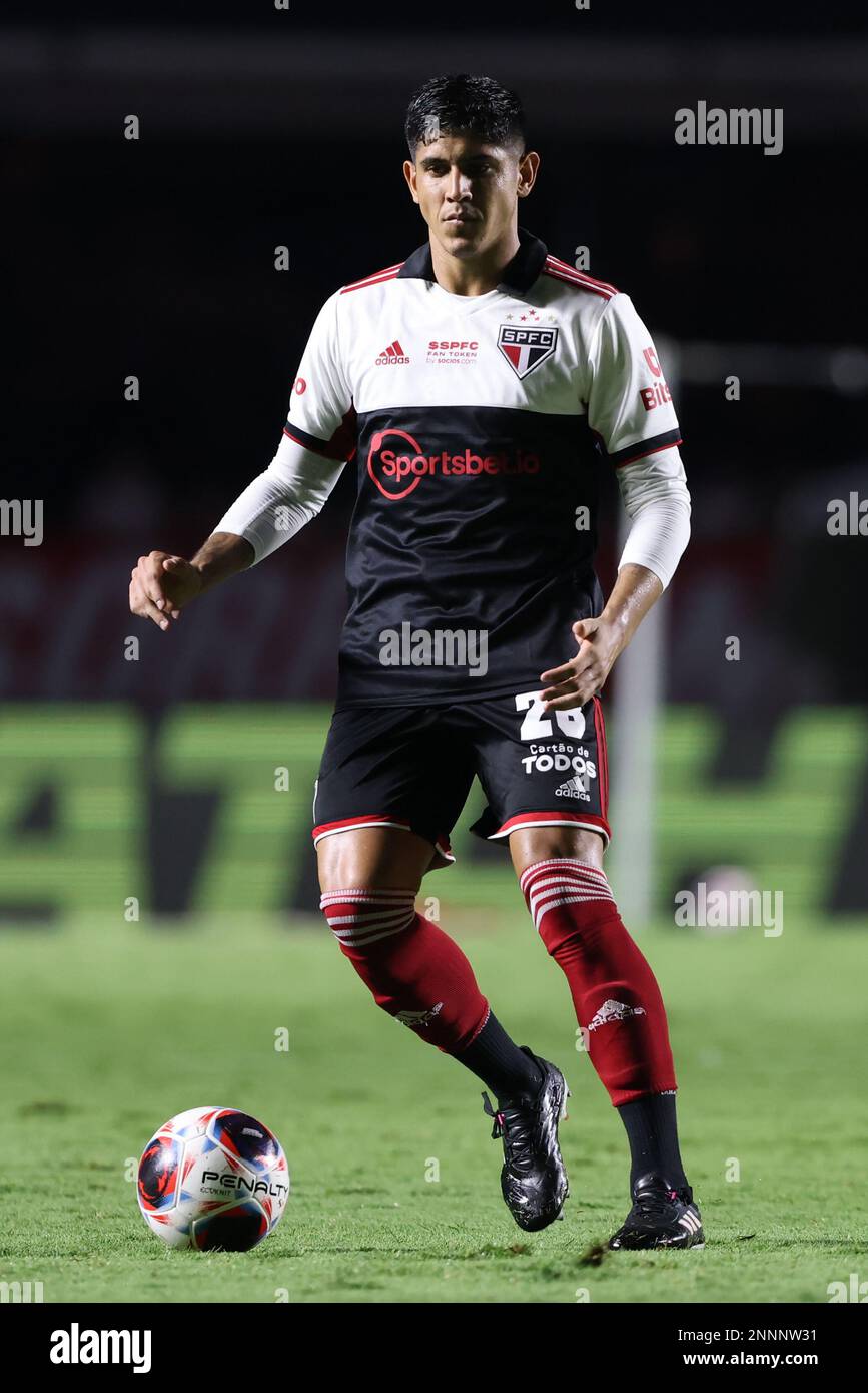 Sao Paulo, Brazil. 25th Feb, 2023. SP - Sao Paulo - 02/25/2023 ...