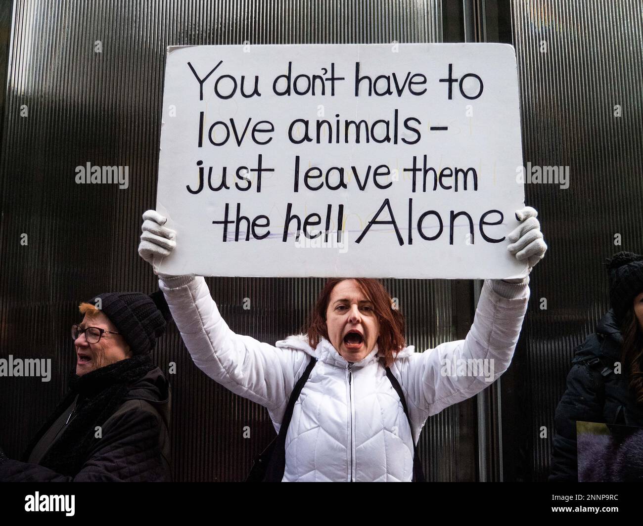 Trophyhuntingban hi-res stock photography and images - Alamy