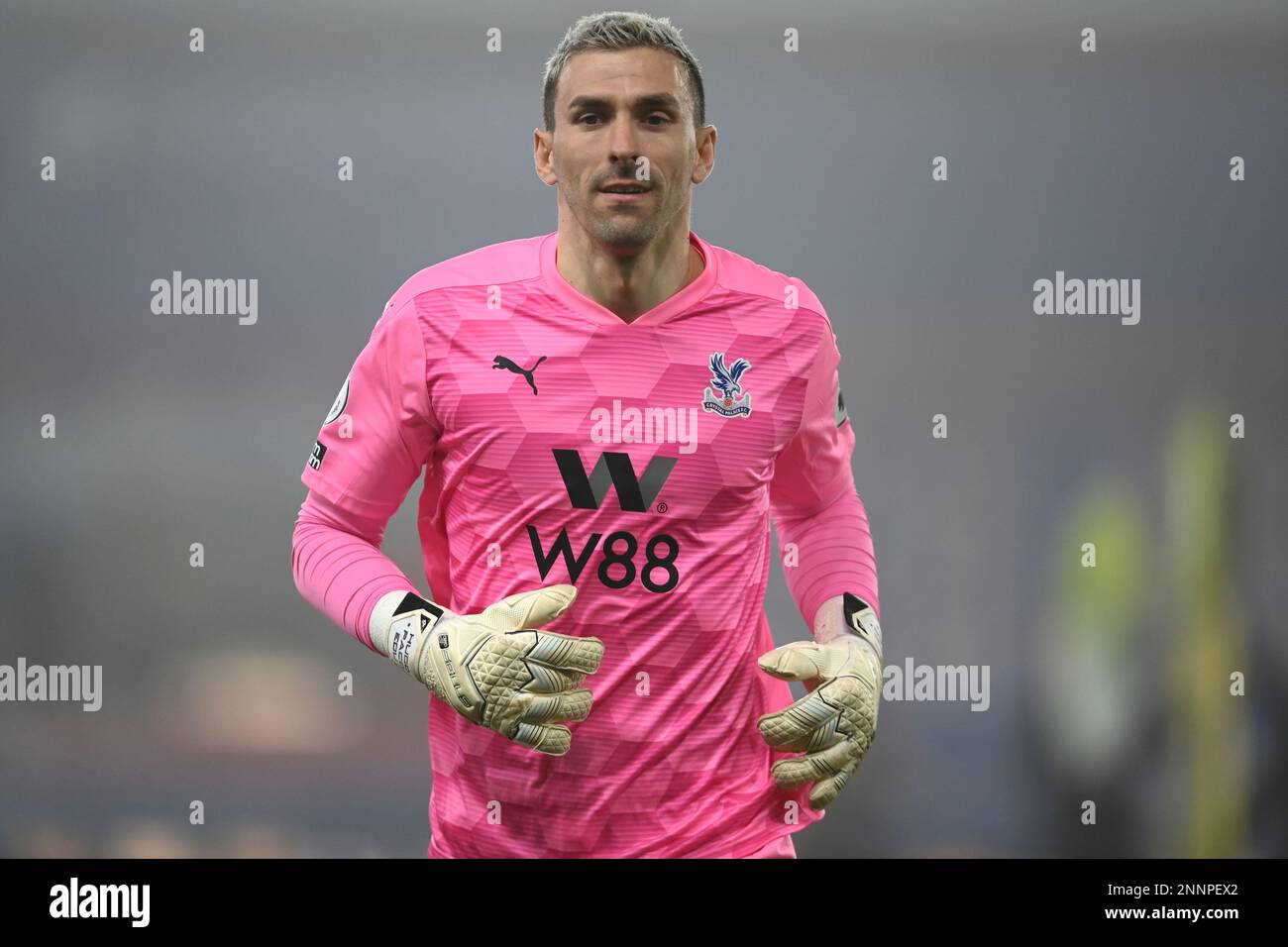 Crystal Palace's goalkeeper Vicente Guaita prior to the English Premier ...