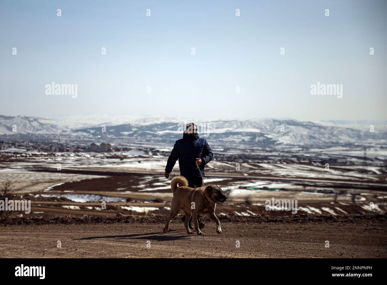 Huseyin Yildiz, 50, walks with a shepherd dog of the "Sivas Kangal ...