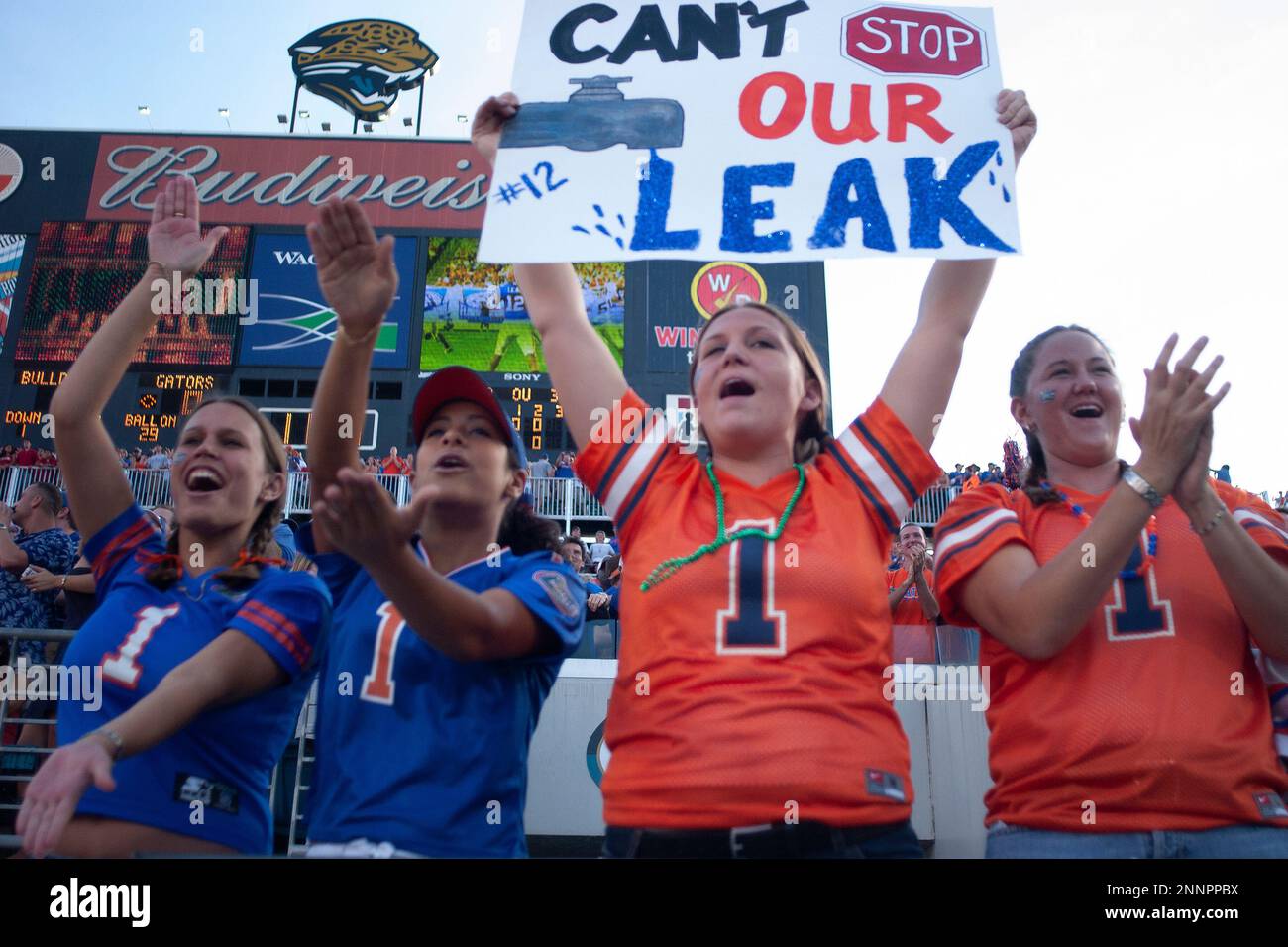 Uoff gators hi-res stock photography and images - Alamy