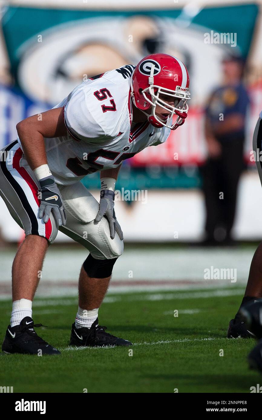 Uoff gators hi-res stock photography and images - Alamy