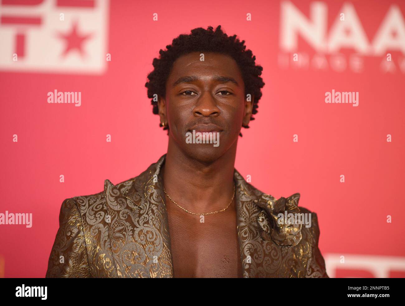 Timothy Richardson arrives at the 54th NAACP Image Awards on Saturday, Feb. 25, 2023, at the ...