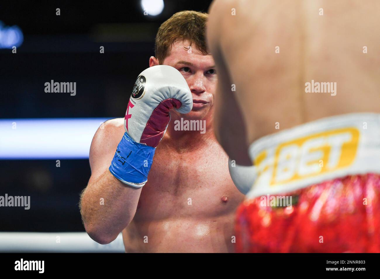 Boxer Saul "Canelo" Alvarez defends his title against Avni Yildirim ...