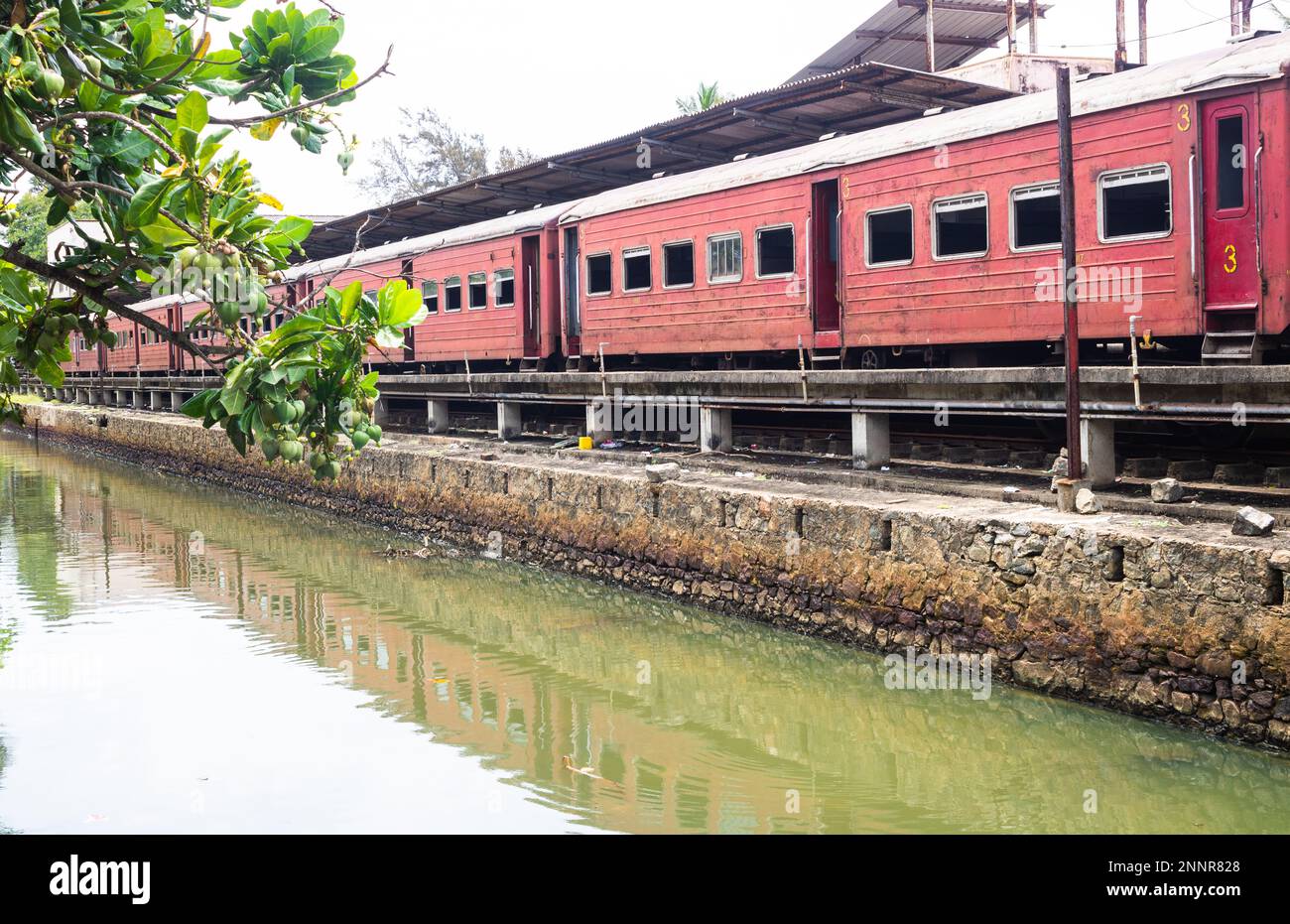 Train and it's reflection on water canal Stock Photo - Alamy