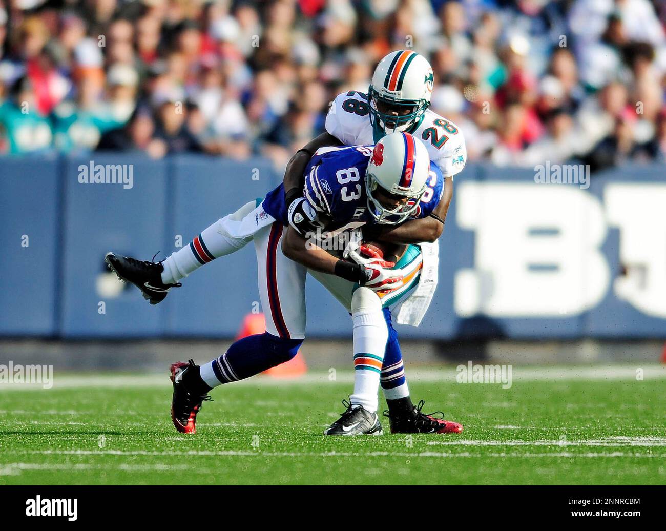 29 November 2009: Buffalo Bills' wide receiver Lee Evans (83) is ...