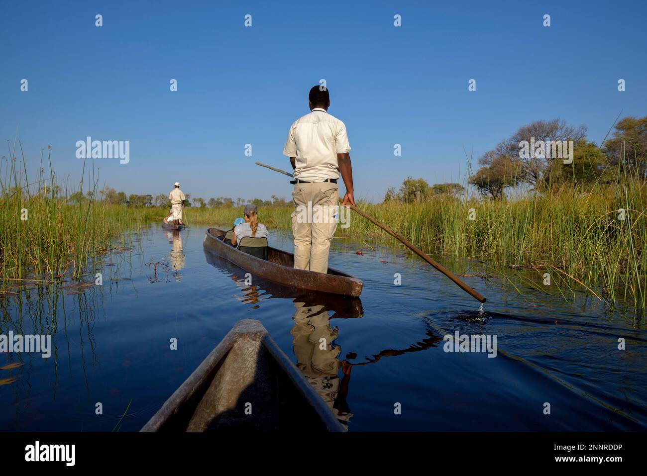 Tourists in a mokoro or dugout boat on safari in swamp area, Gomoti ...