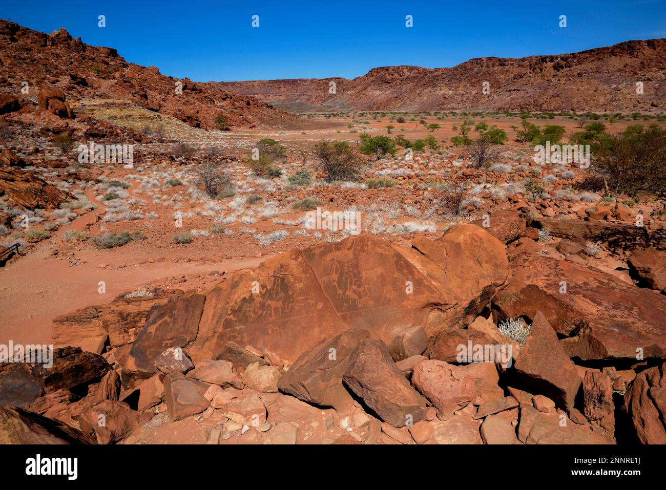 Rock engravings, Twyfelfontein, Unesco World Heritage Site, Kunene ...