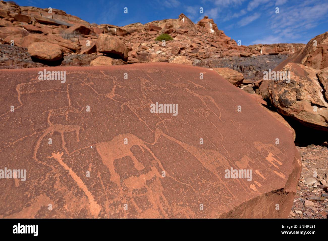 African rock art engraving hi-res stock photography and images - Alamy