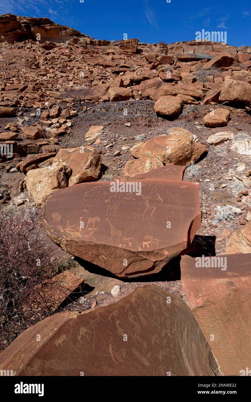 Rock engravings on a stone slab, near Rhino Spring, Mik Mountains ...