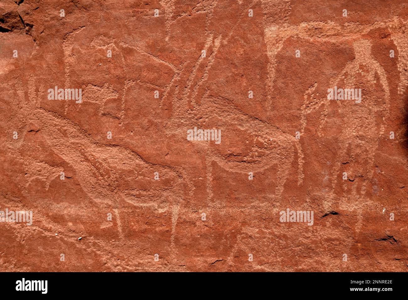 African rock art engravings hi-res stock photography and images - Alamy