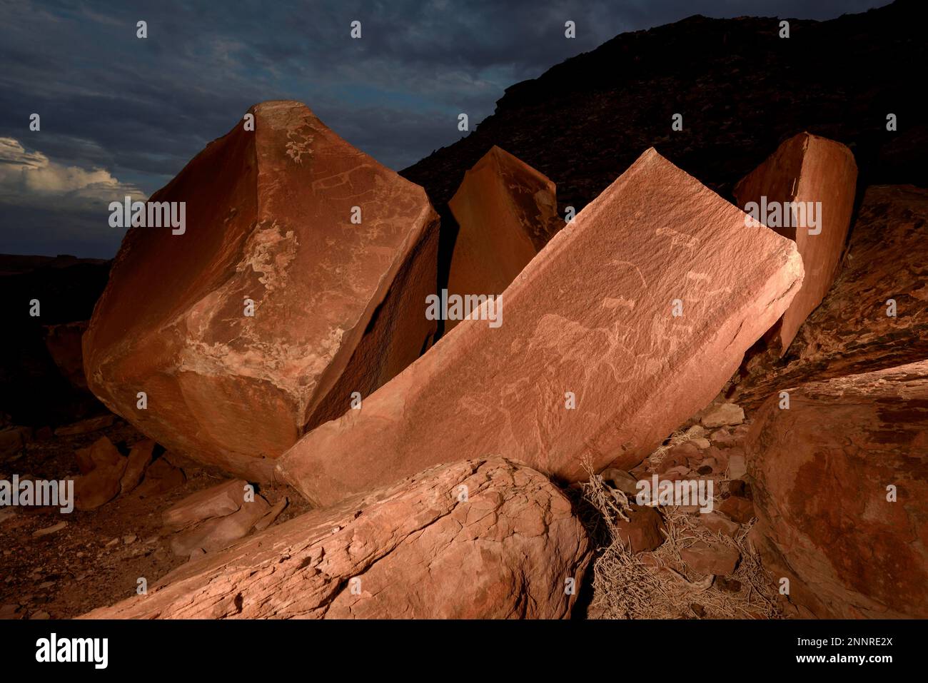 Rock engravings at Rhino Spring in last daylight, illuminated, Mik ...