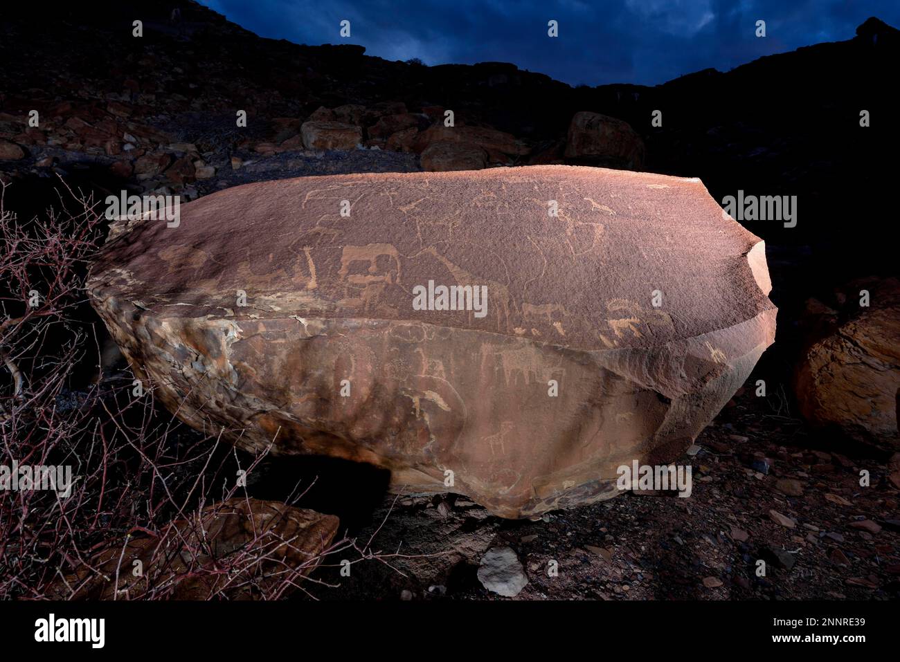 Rock engravings at Rhino Spring in last daylight, illuminated, Mik ...