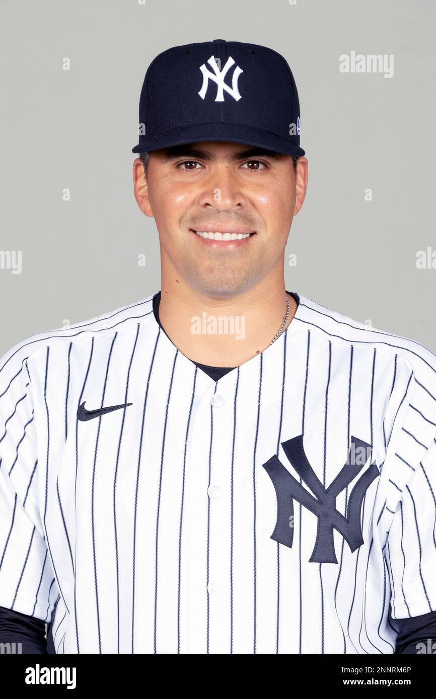 This is a 2021 photo of Robinson Chirinos of the New York Yankees ...