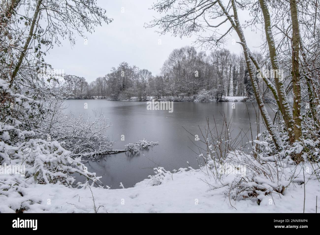 Pig Lake in Winter, Ahaus Stock Photo - Alamy