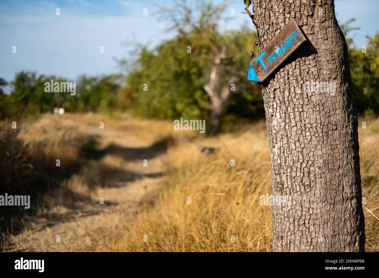 Soft hiking trail hi-res stock photography and images - Alamy